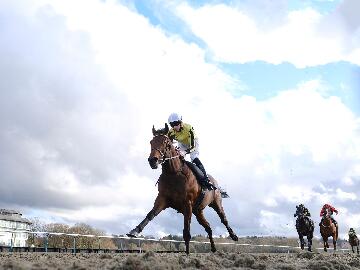 All Weather Championships | AWC | Season 8