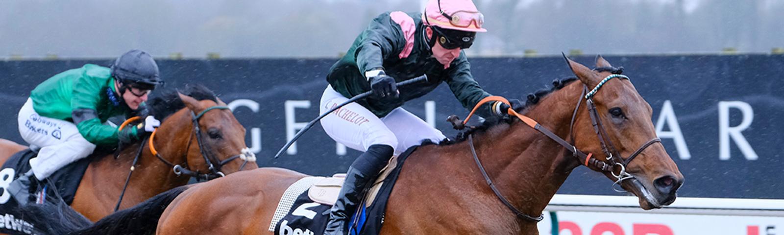 Sprint | Leaderboards | All Weather Championships