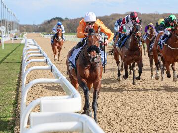 AWC | All Weather Championships