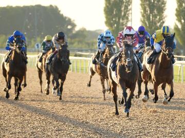 AWC | All Weather Championships