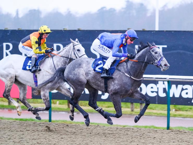 Grey Britain Scores Authoritative Success At Lingfield Park