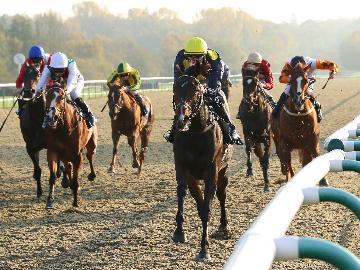 All Weather Championships | AWC | Season 7