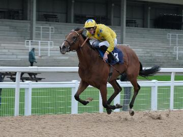 AWC | All Weather Championships