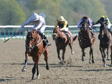 All Weather Championships | AWC | Season 6