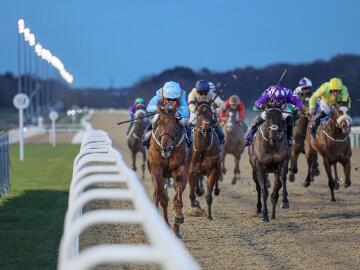 All Weather Championships | AWC | Season 11