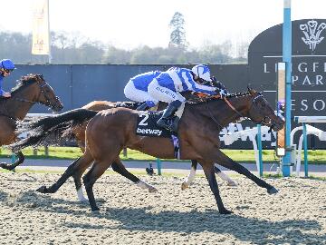 All Weather Championships | AWC | Season 8