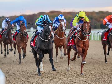 All Weather Championships | AWC | Season 11