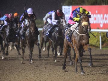 All Weather Championships | AWC | Season 7