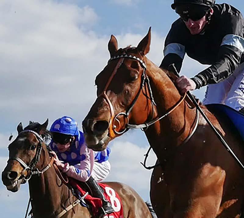 Race Categories | Take Part | All Weather Championships