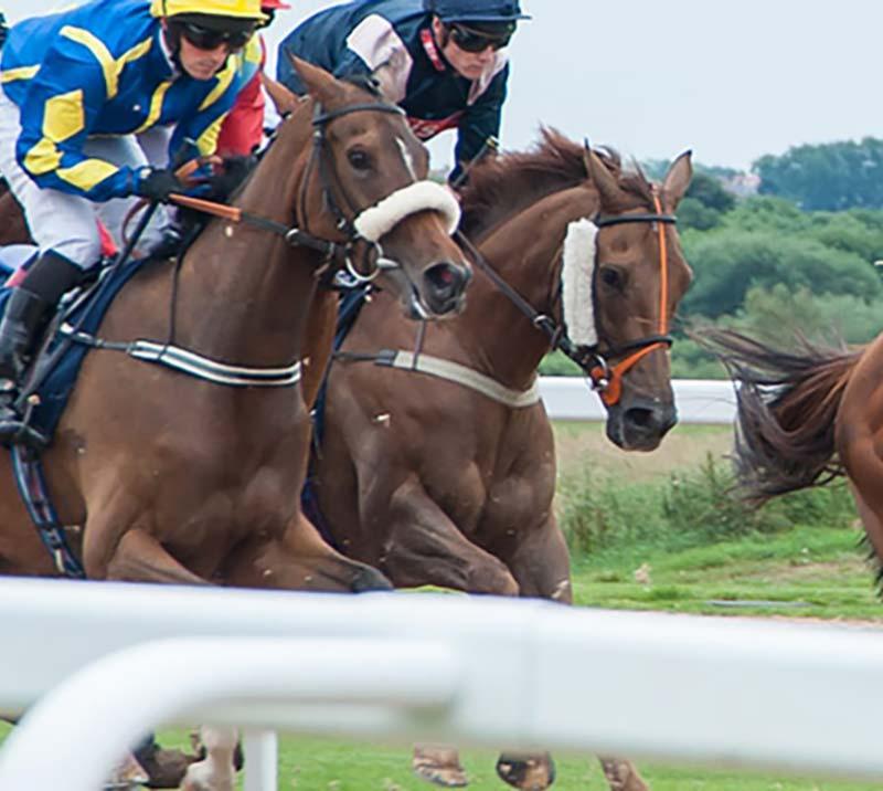 Race Categories | Take Part | All Weather Championships